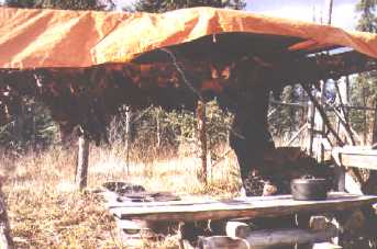 Fort Nelson Aboriginal Project - Drymeat